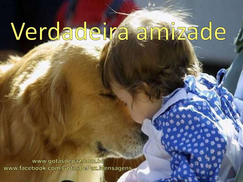 Verdadeira amizade - Gotas de PazGotas de Paz