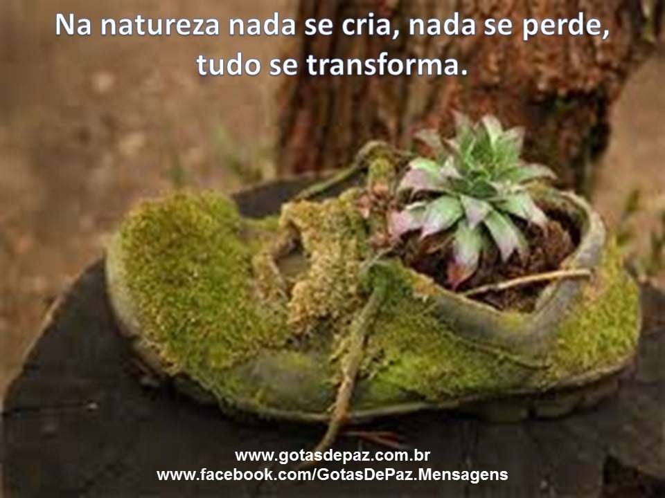 Na Natureza Nada Se Cria Tudo Se Transforma - LIBRAIN