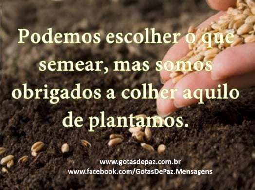 Podemos escolher o que semear, mas somos obrigados a colher aquilo de ...