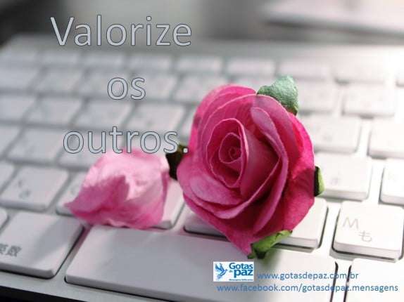 O valor do próximo - Gotas de PazGotas de Paz