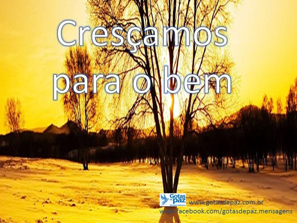 Cresçamos para o bem - Gotas de PazGotas de Paz