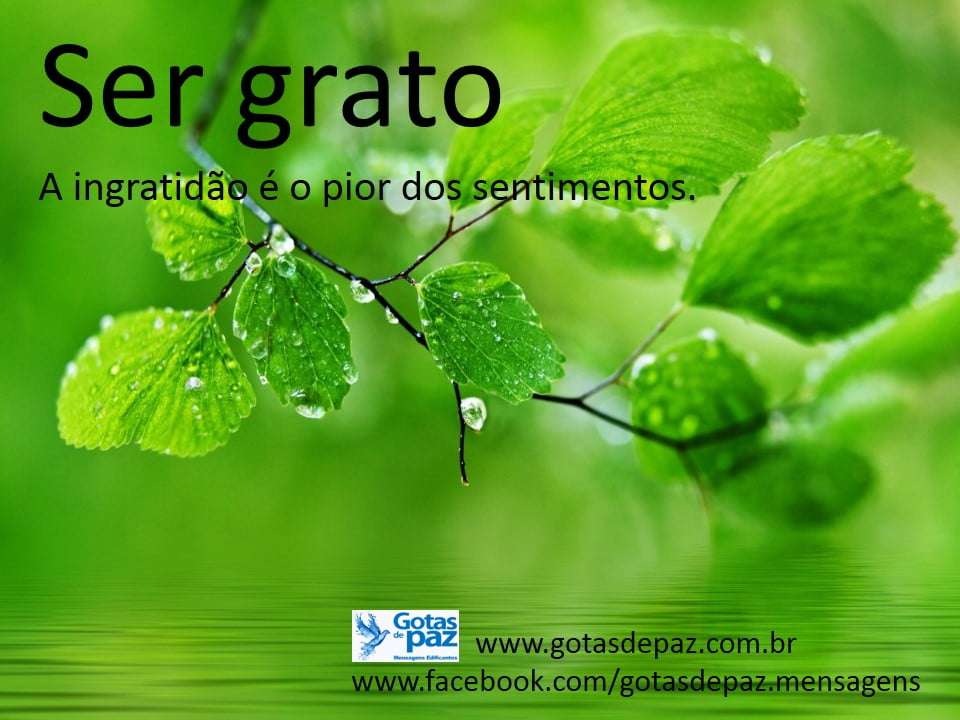 Ser grato - Gotas de PazGotas de Paz
