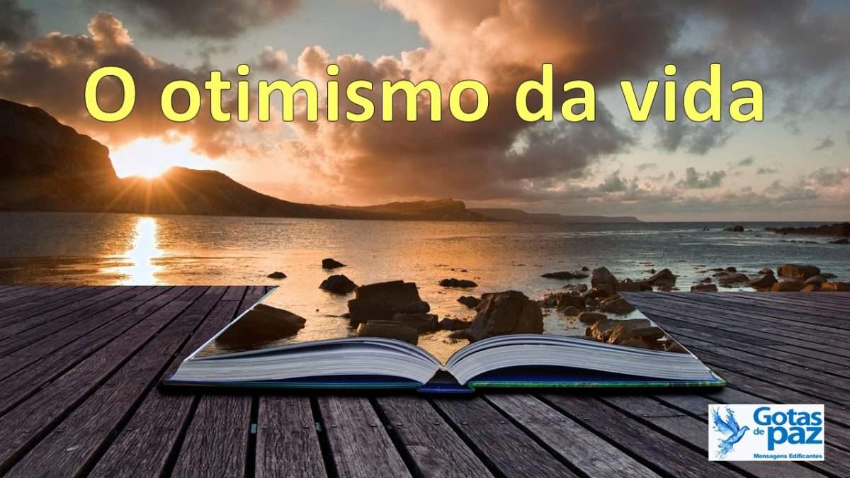 O otimismo da vida - Gotas de PazGotas de Paz