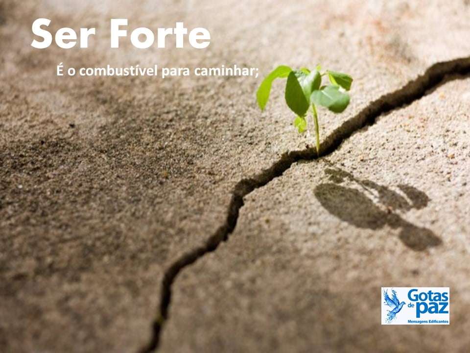 Ser Forte - Gotas de PazGotas de Paz