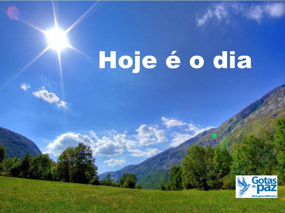 Hoje é o dia - Gotas de PazGotas de Paz
