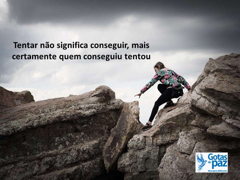 Tentar não significa conseguir, mais certamente quem conseguiu tentou ...