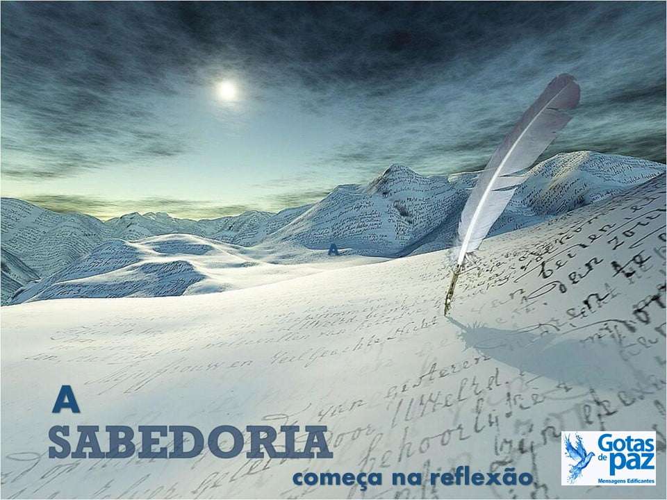 A sabedoria começa na reflexão. - Gotas de PazGotas de Paz