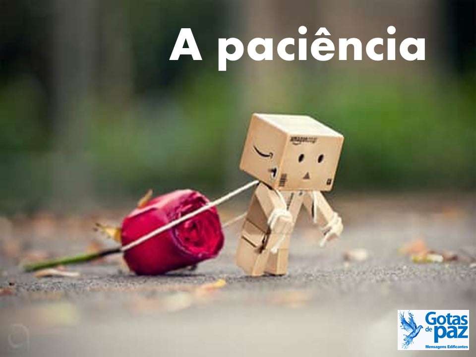 A paciência - Gotas de PazGotas de Paz