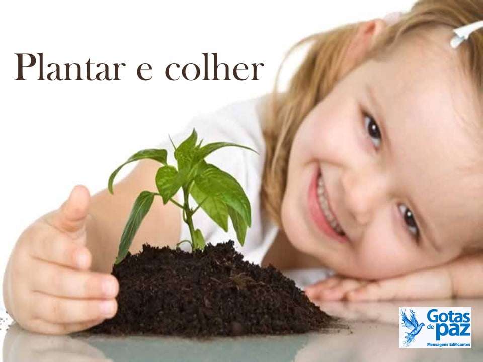Plantar e colher - Gotas de PazGotas de Paz