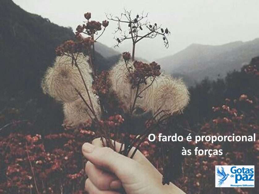 O fardo é proporcional às forças - Gotas de PazGotas de Paz