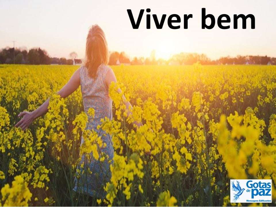 Viver bem - Gotas de PazGotas de Paz
