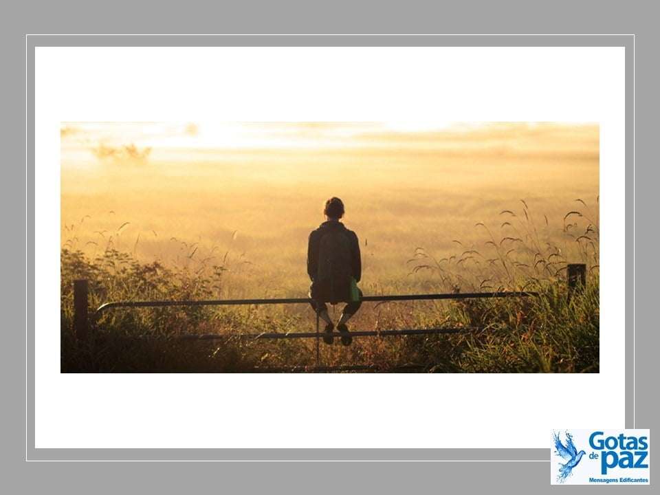Refletindo sobre a vida - Gotas de PazGotas de Paz