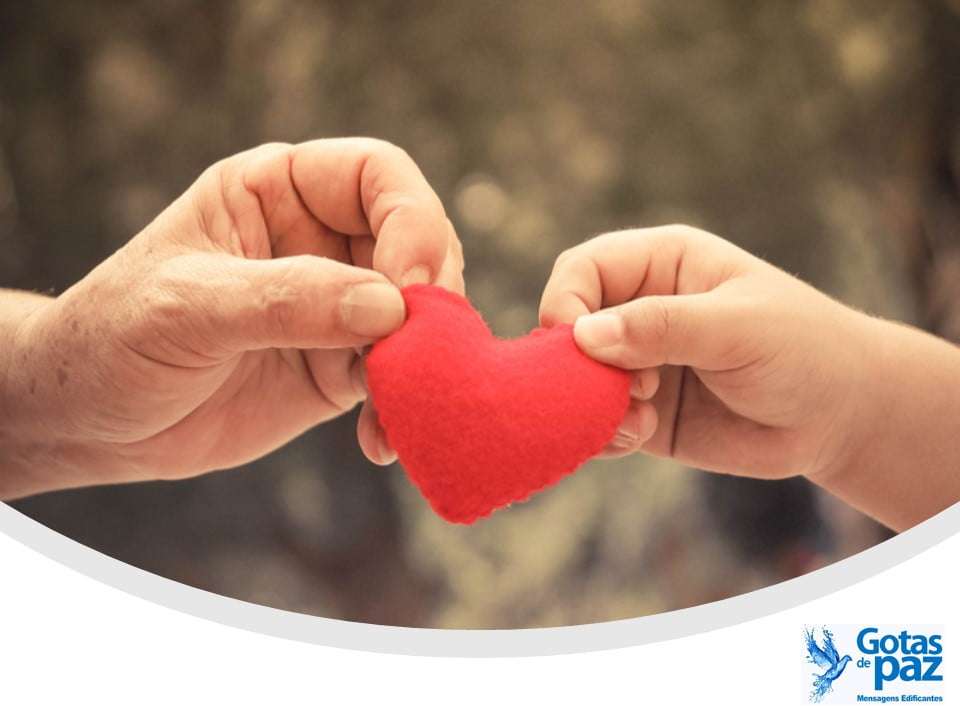 Compartilhando a vida - Gotas de PazGotas de Paz