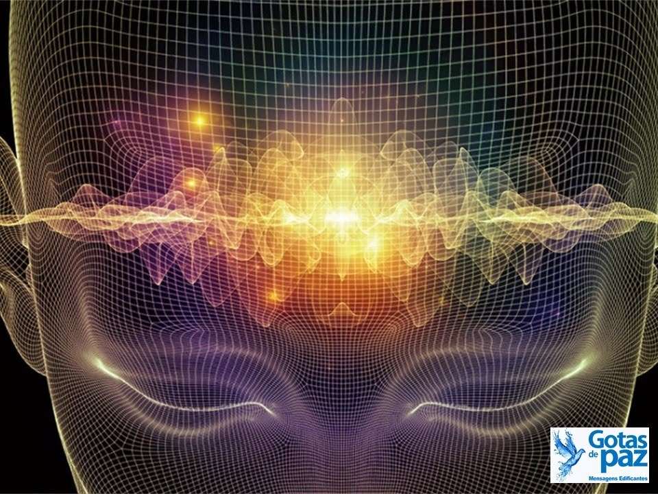 A consciência - Gotas de PazGotas de Paz