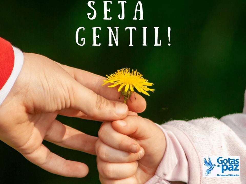 SEJA GENTIL - Gotas de PazGotas de Paz