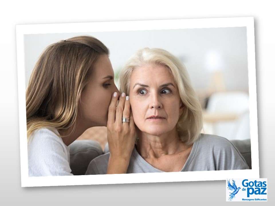 Intrigas nas casas espíritas - Gotas de PazGotas de Paz