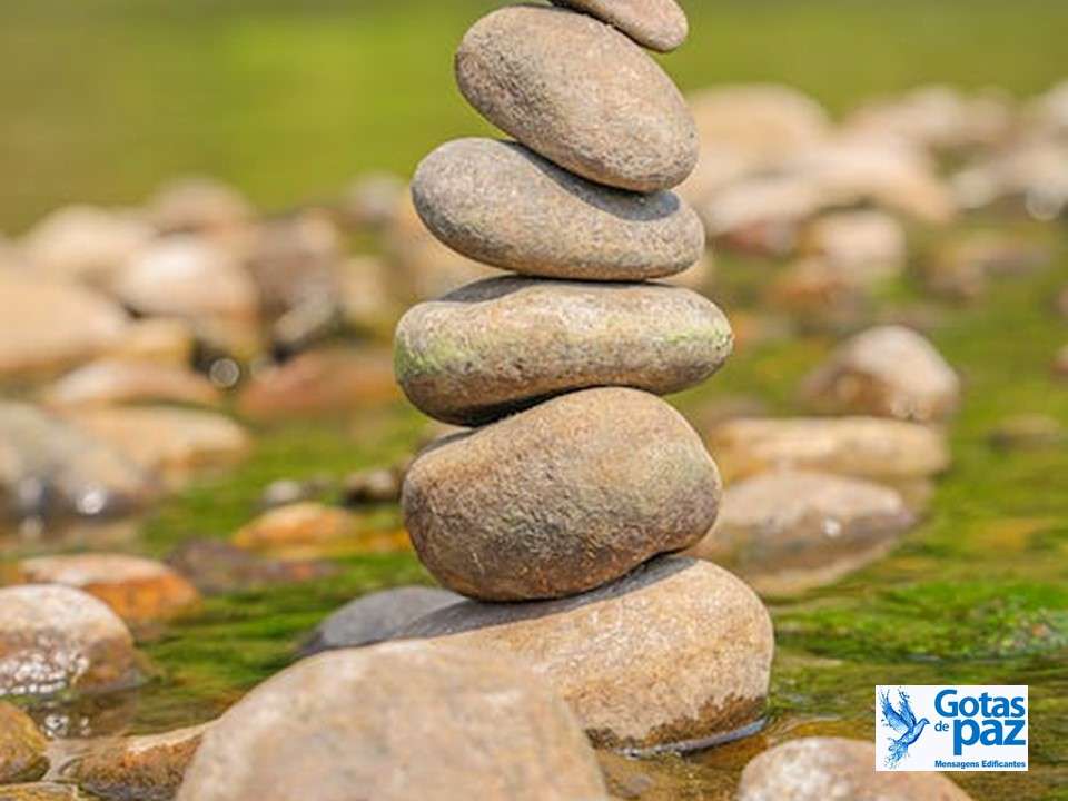 Paciência - Gotas de PazGotas de Paz